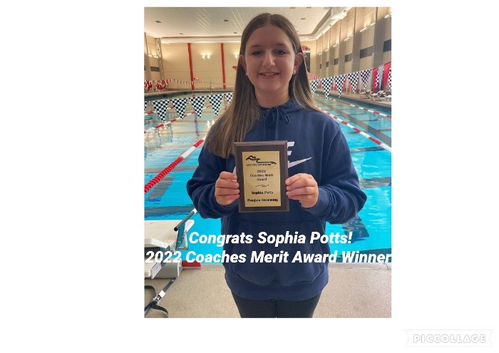 Penguin Swimming Home