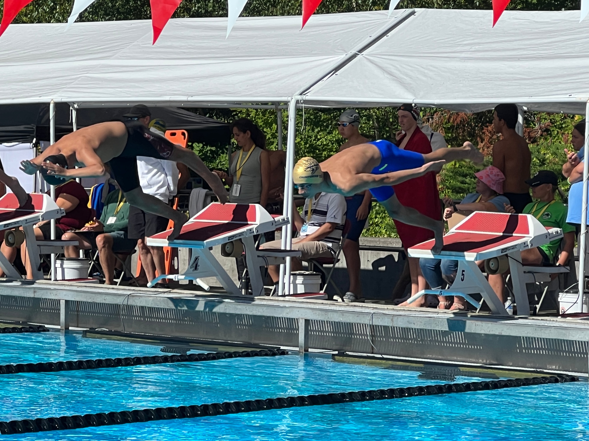 Chehalem Swim Team Home