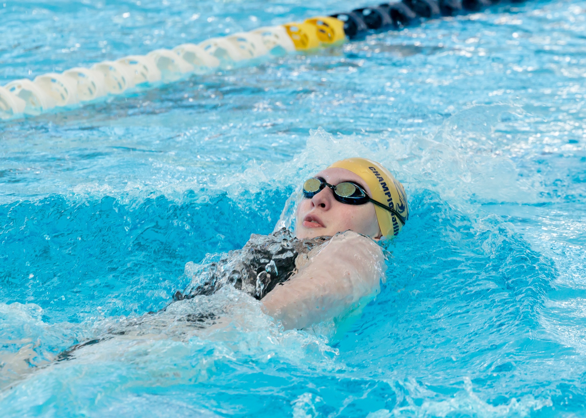 Chehalem Swim Team Home
