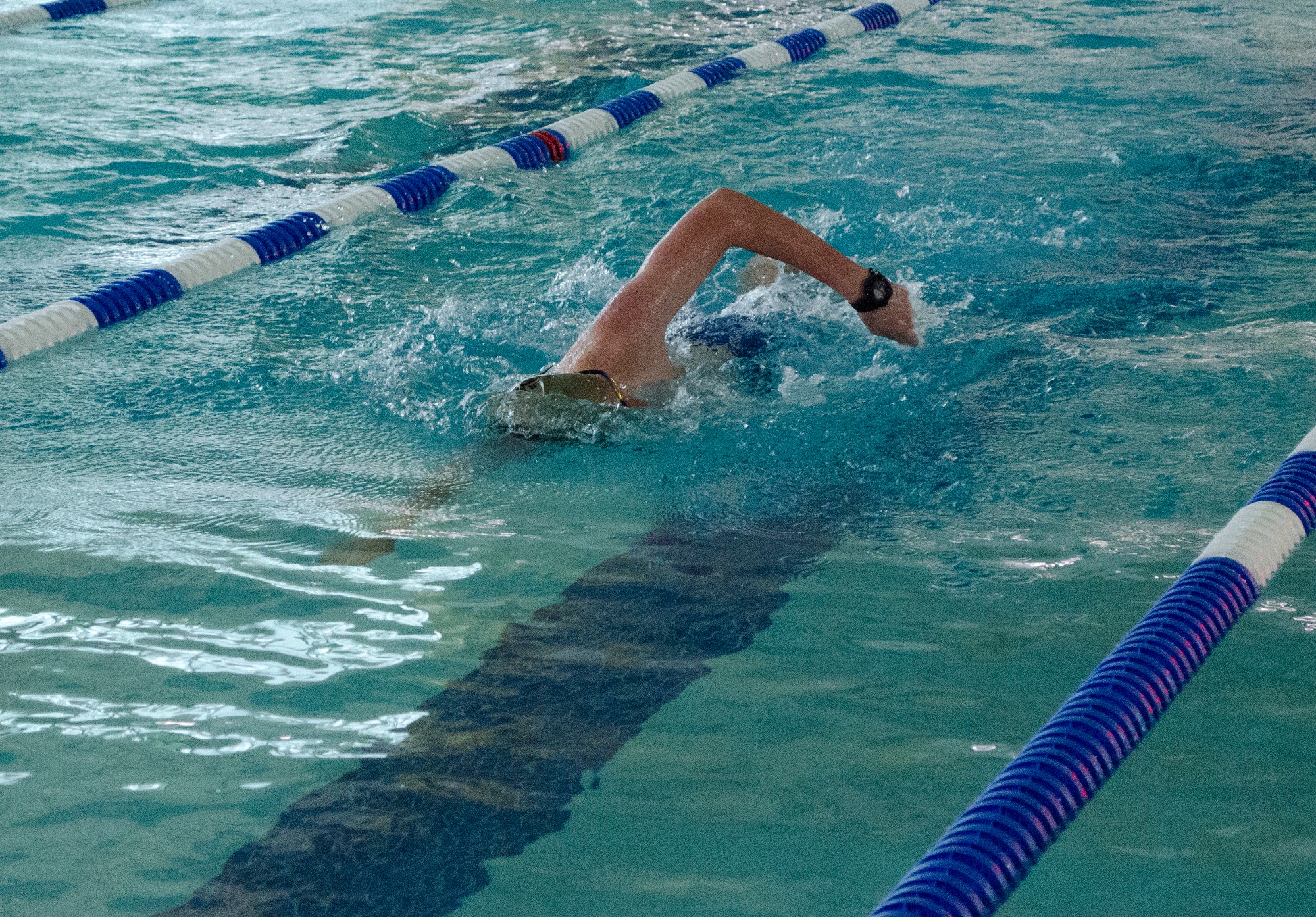 Killer Whales Swim Club Home