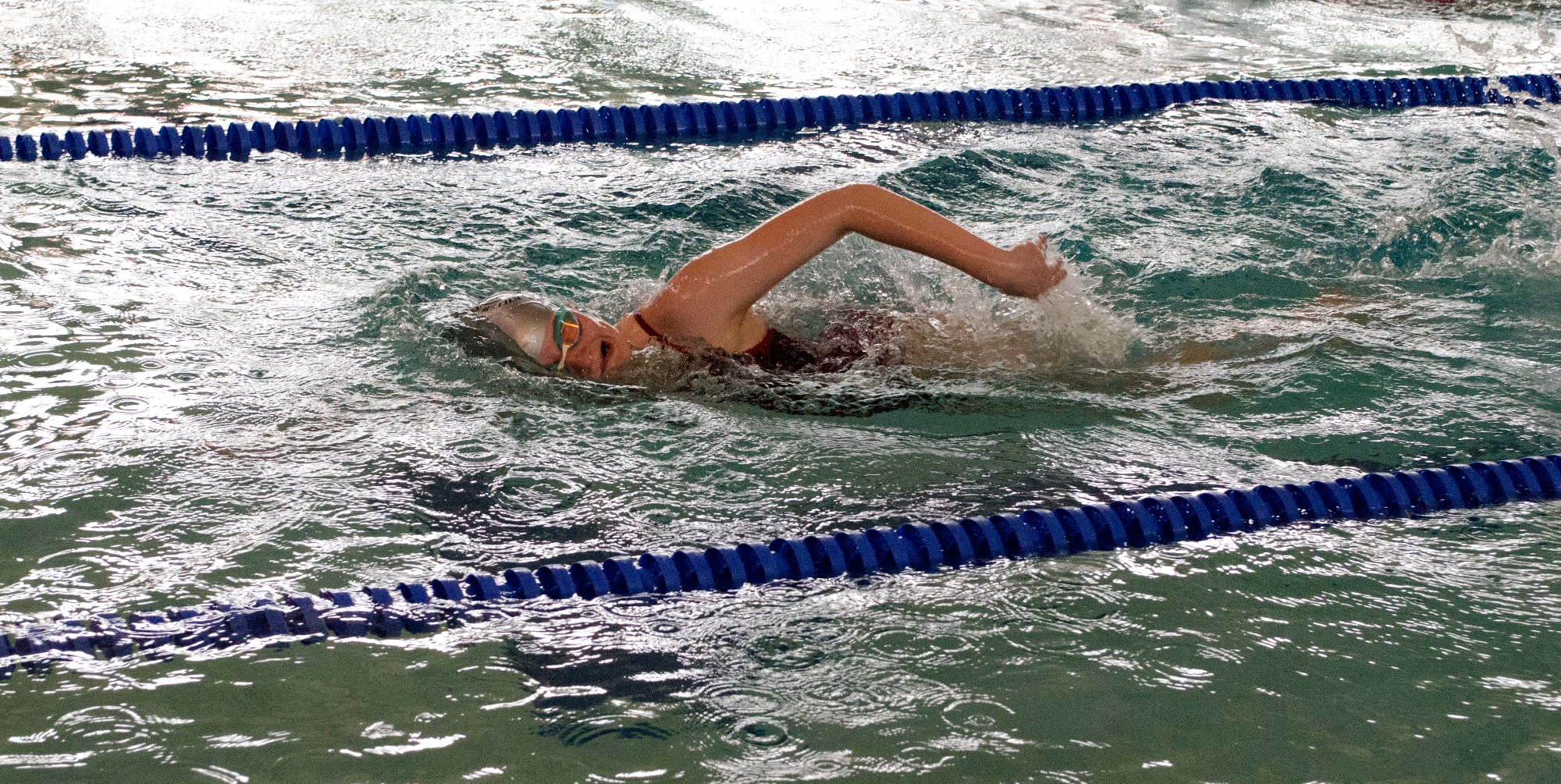 Killer Whales Swim Club Home