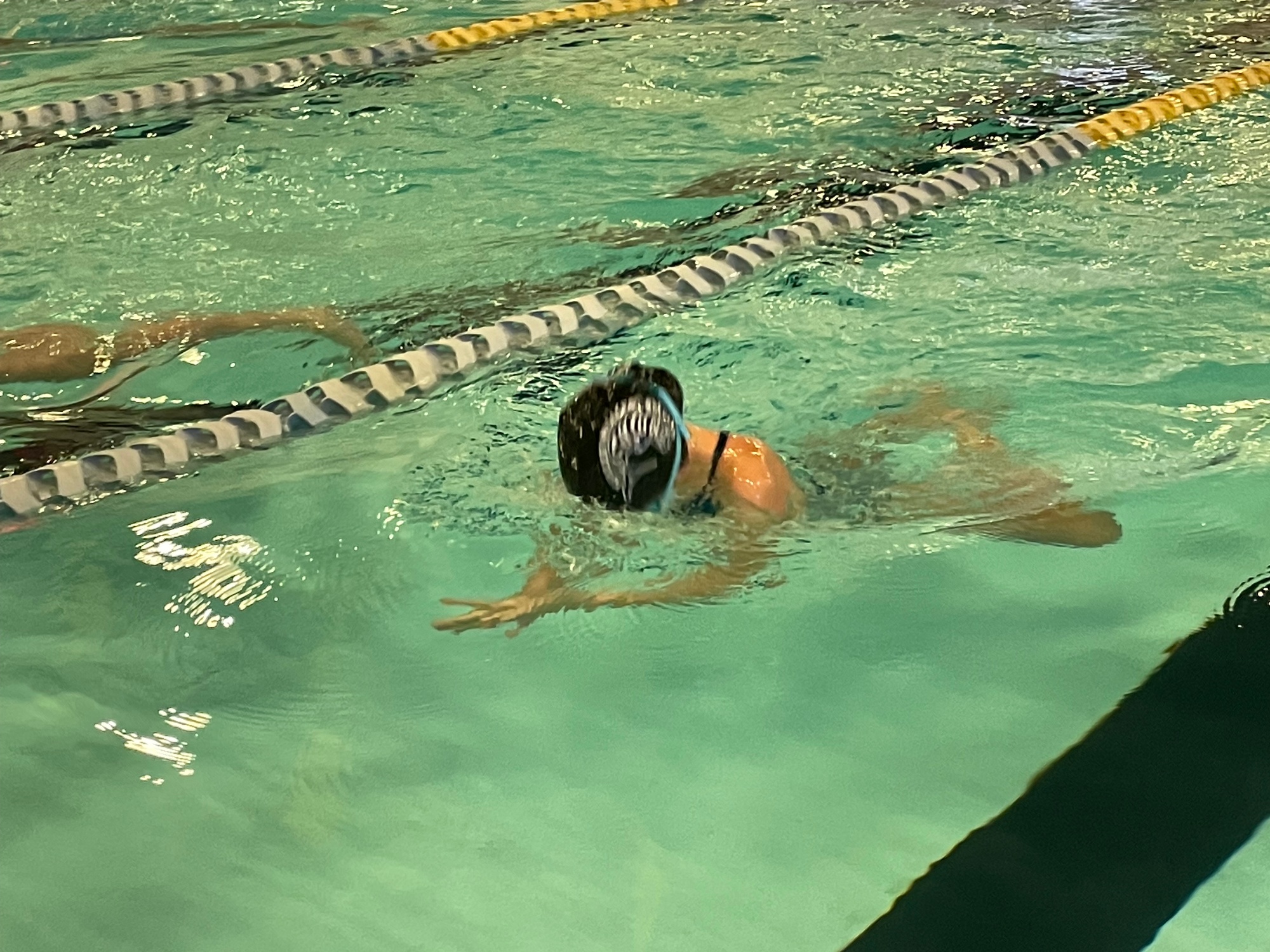 Killer Whales Swim Club Home