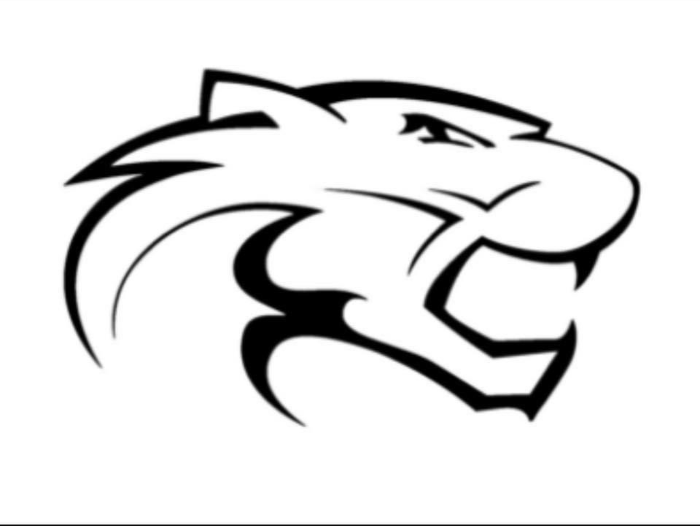 Palmyra Youth Cheerleading - Calendar