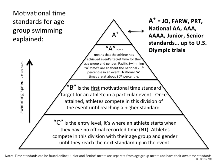 BULLDOG SWIM CLUB + AQUATICS - USA pyramid