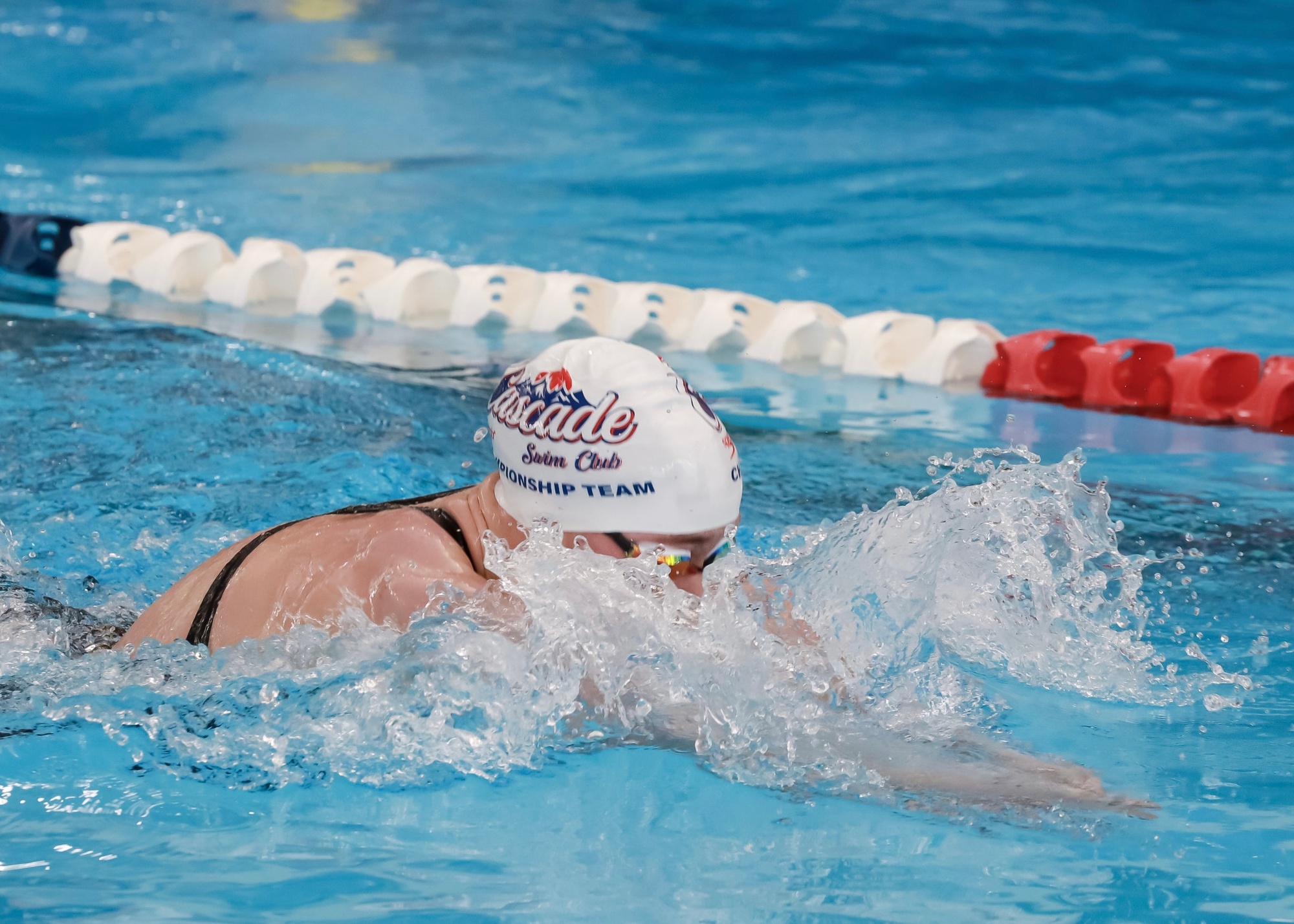 Cascade Swim Club Home