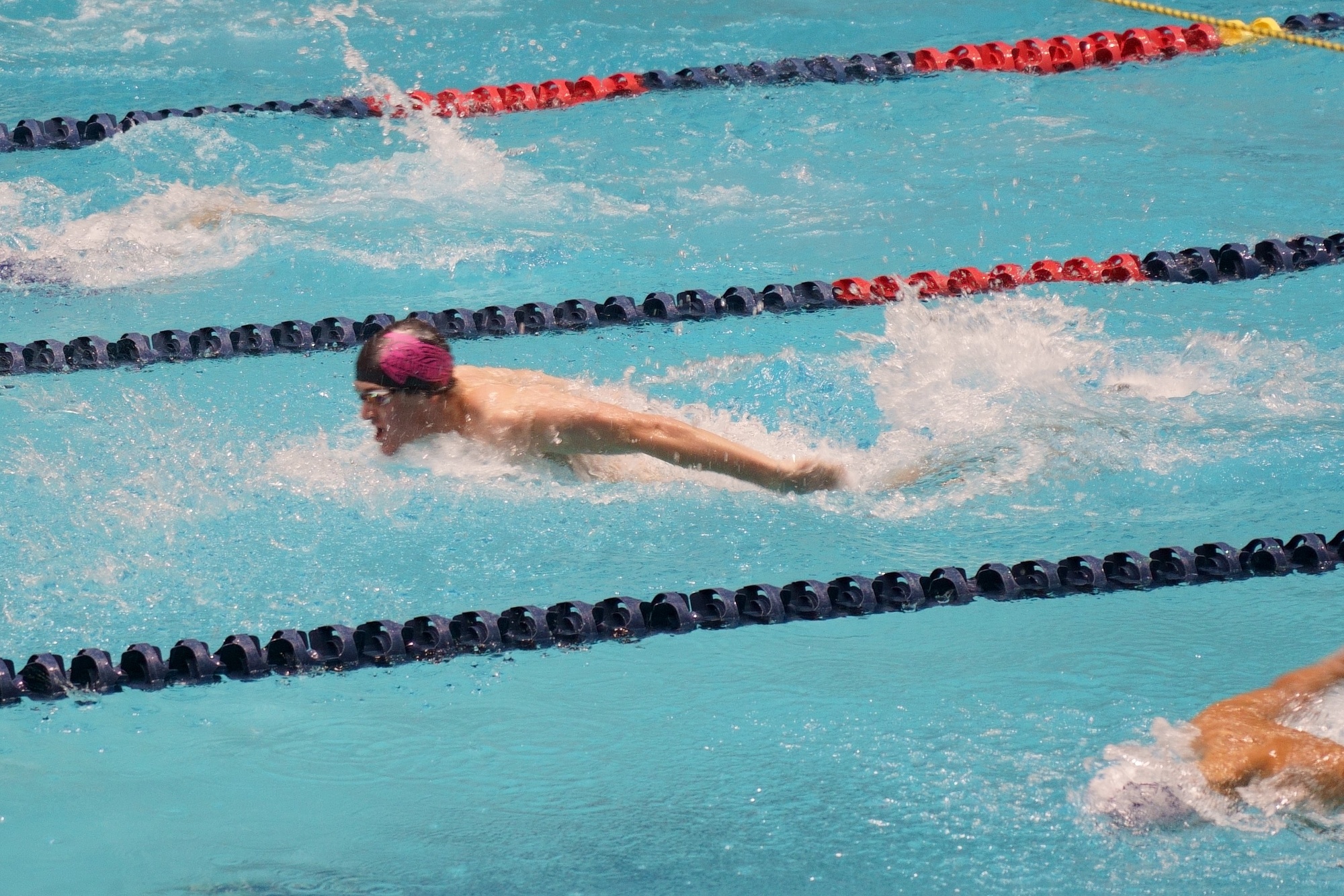 Thunderbird Aquatic Club Home