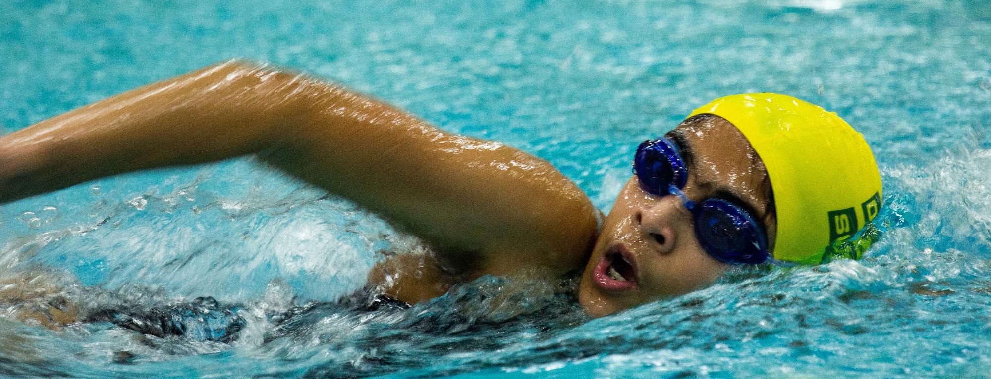 DC Wave Swim Team Home