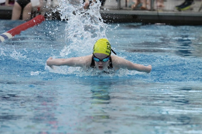 DC Wave Swim Team Home