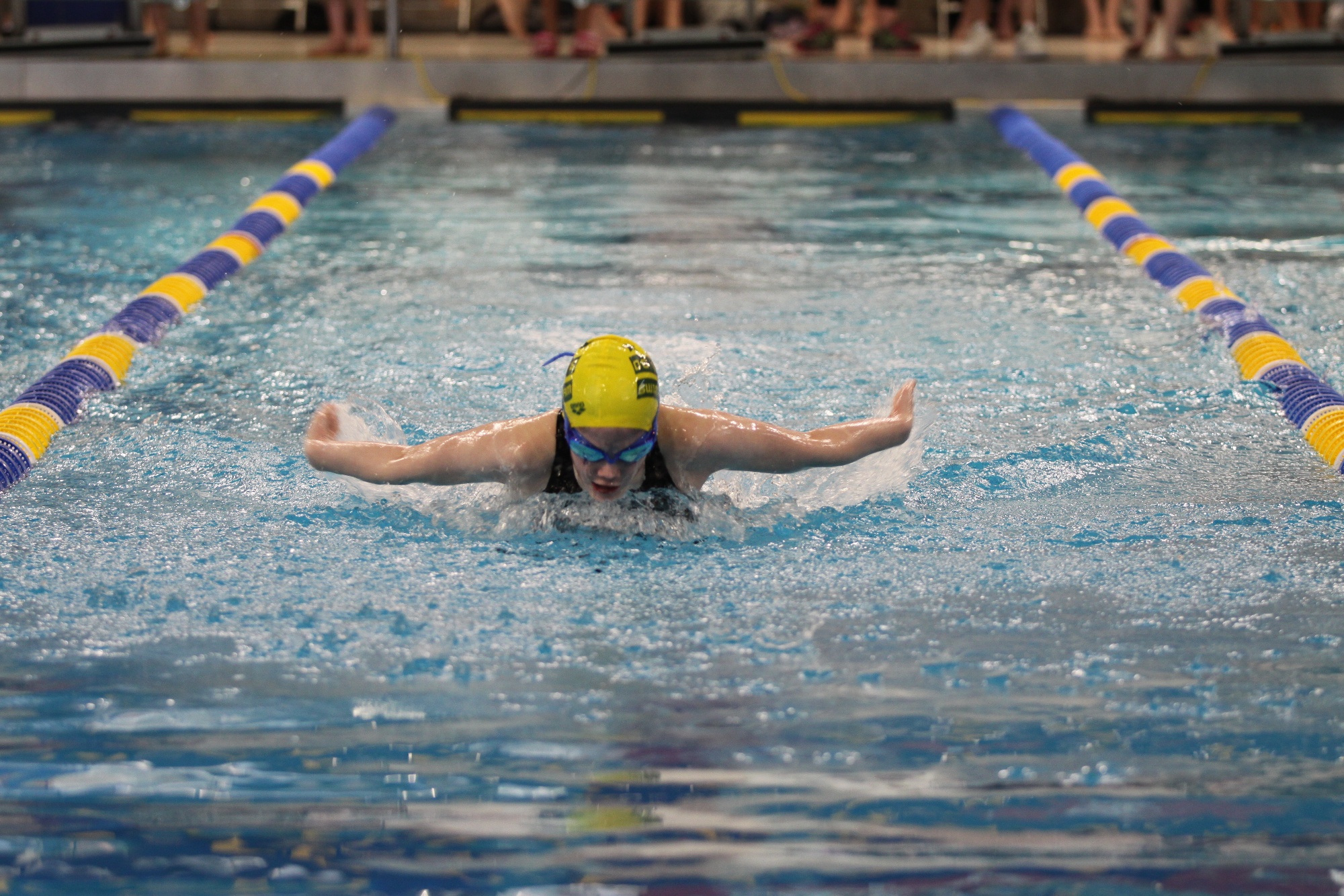 DC Wave Swim Team Home