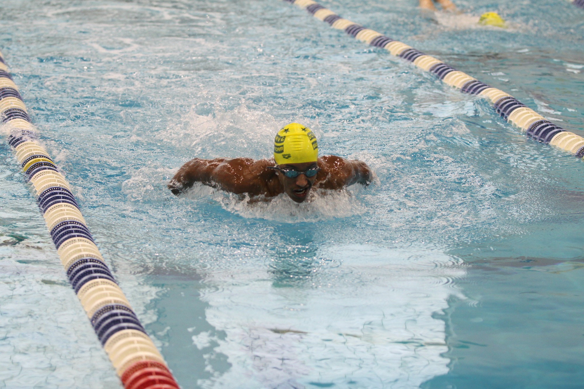 DC Wave Swim Team Home