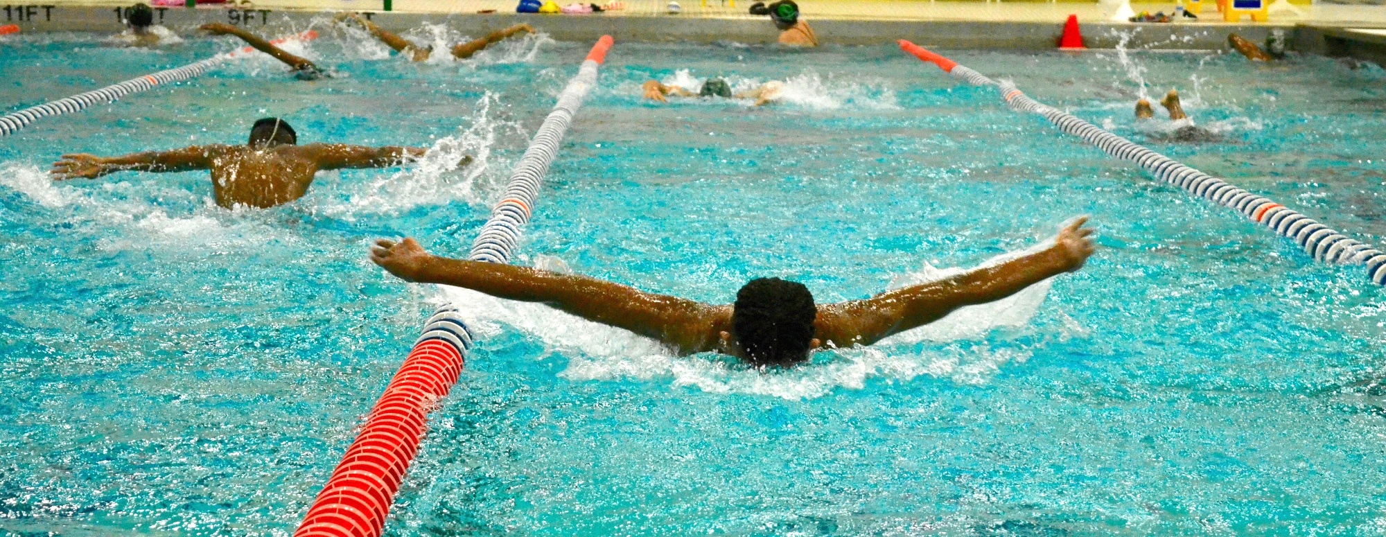 Elite Rays Swim Club Home