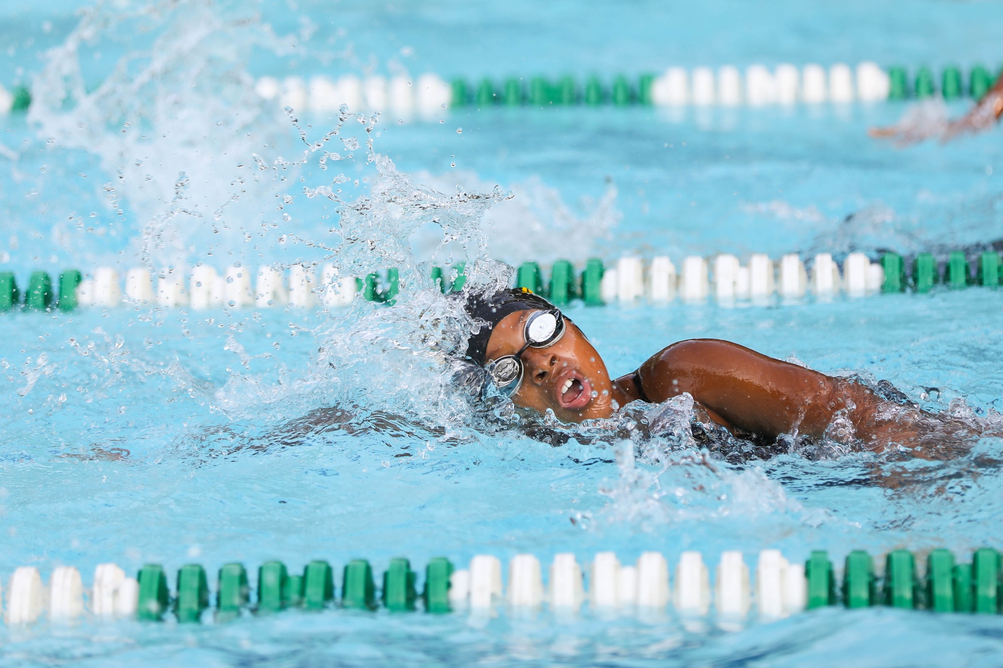 Fairfax Foxes Swimming Home