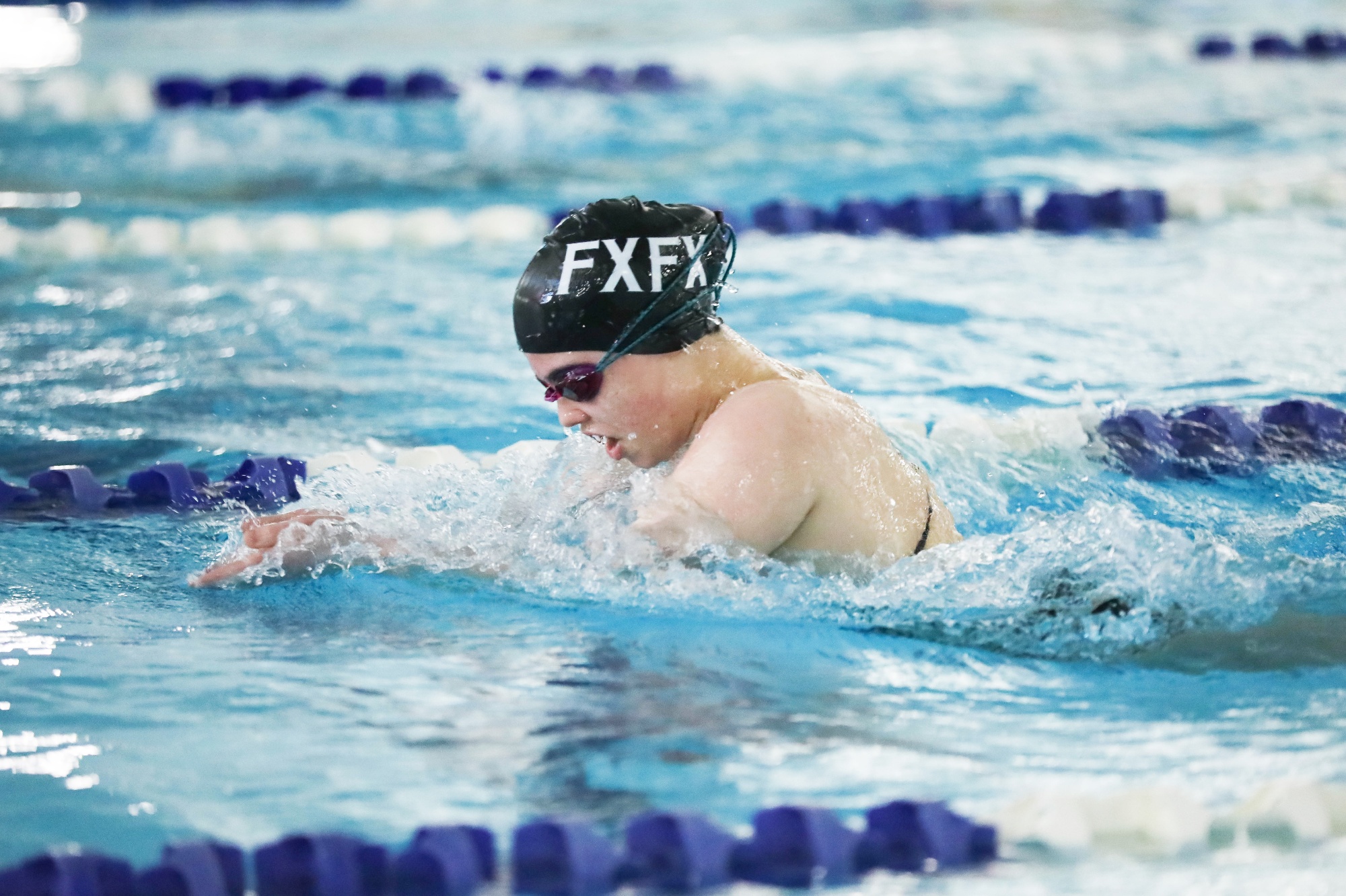 Fairfax Foxes Swimming Home