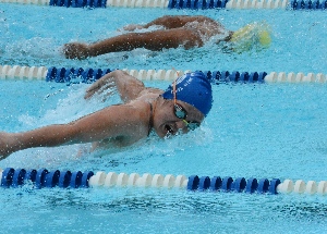 Brandywine Blue Waves Home