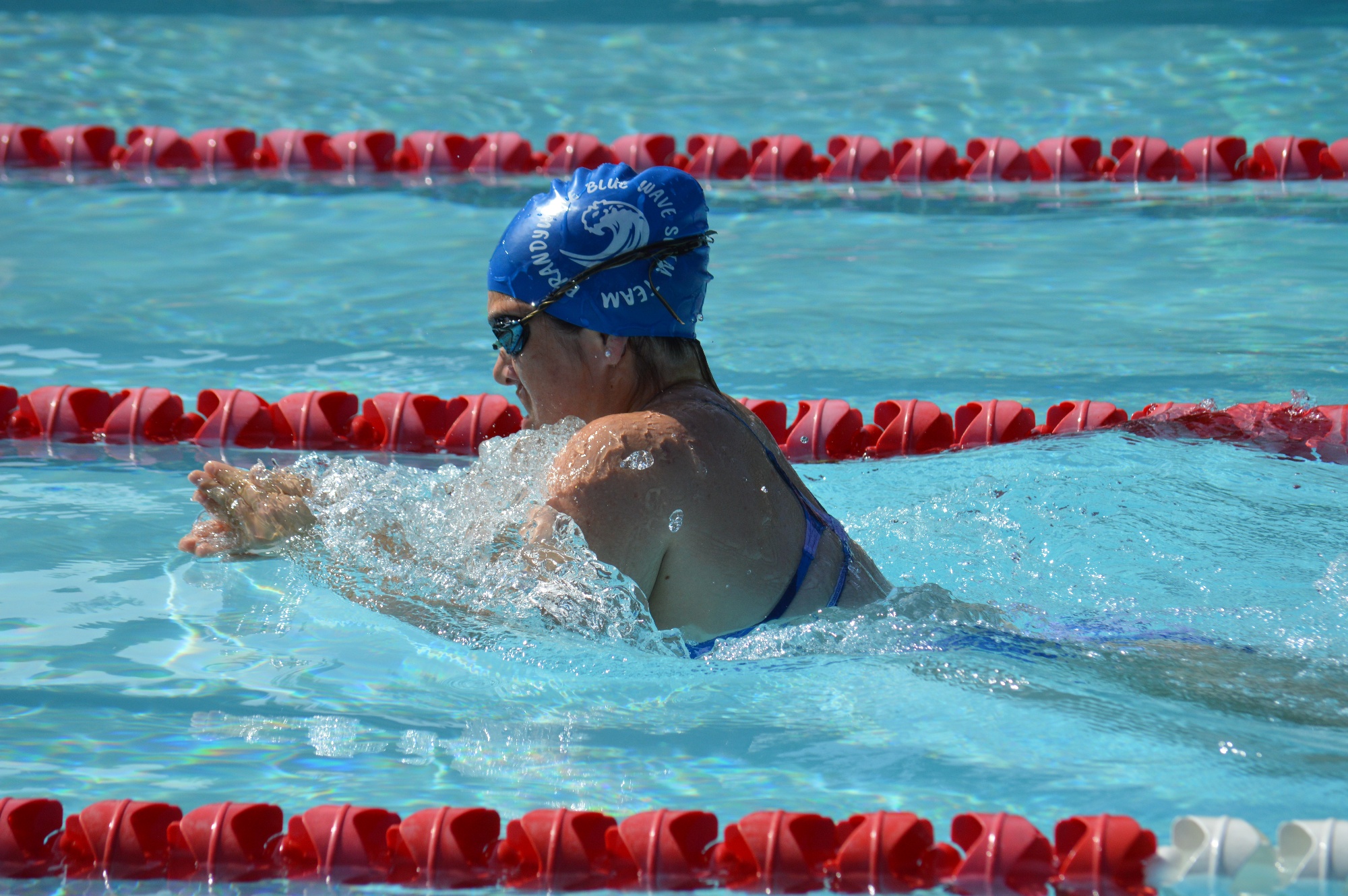 Brandywine Blue Waves Home