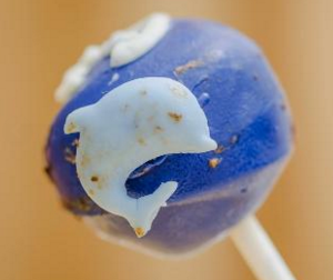 Sugarland Run Swim Team Home