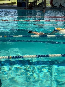 El Campo Red Wave Swim Team Home