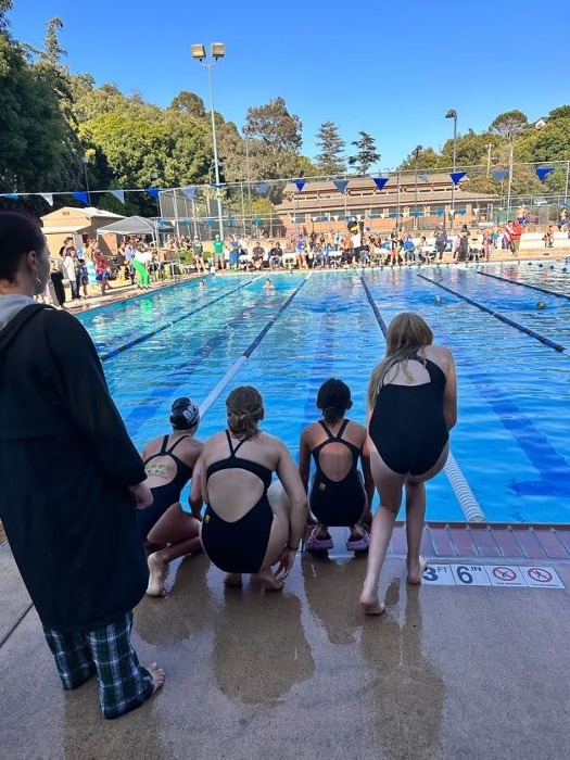 Gehringer Park Swim Team Home