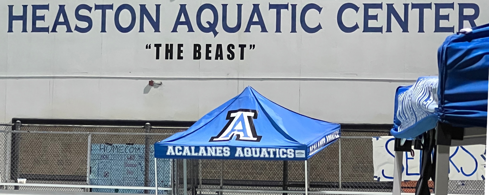 Acalanes Swim Team Home