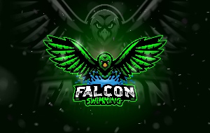 Hampden-Wilbraham Falcon Swim Club Home