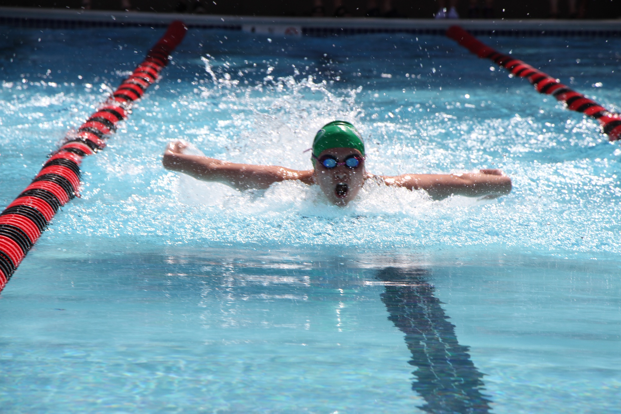 Lee Graham Swim Team Home