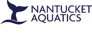 Nantucket Swimming Home