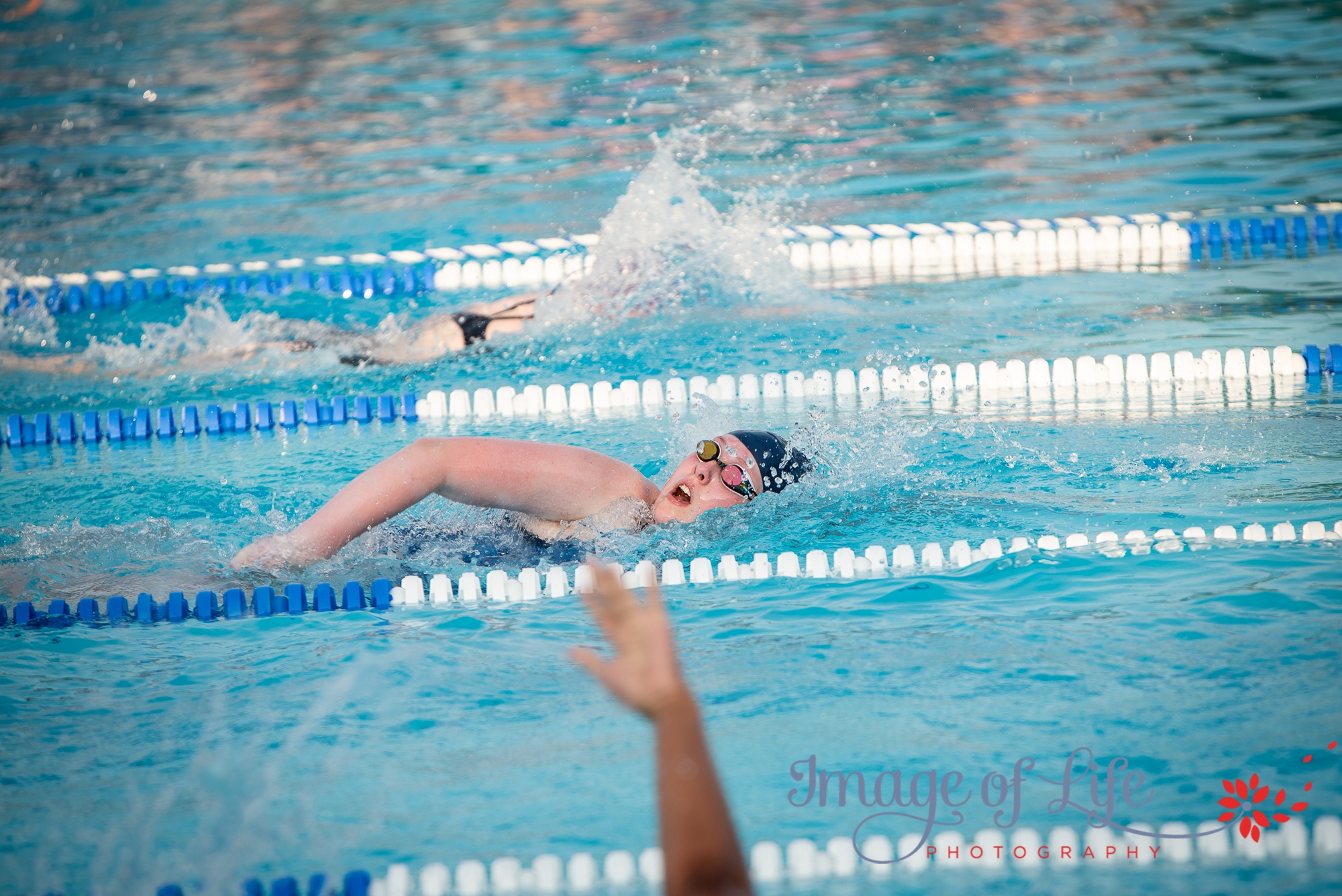 Clarksburg Village Swim Team Home