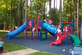 Potomac Swim and Dive Team - General Info