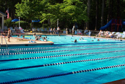 Potomac Swim and Dive Team - General Info