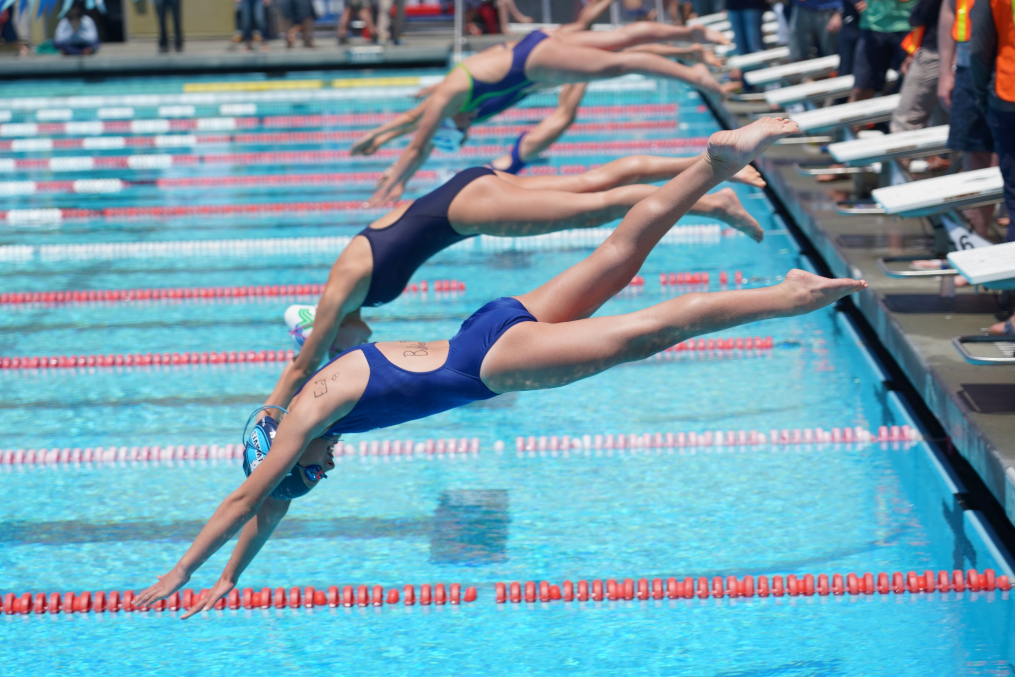 Tidalwaves Swim Team Home