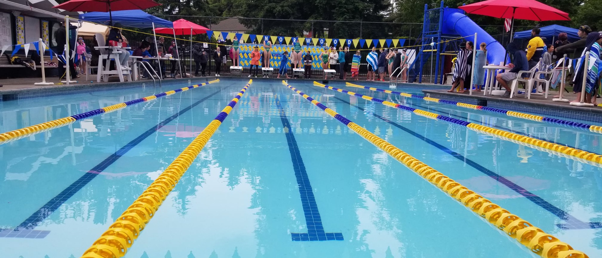 Norwood Swim Club Home