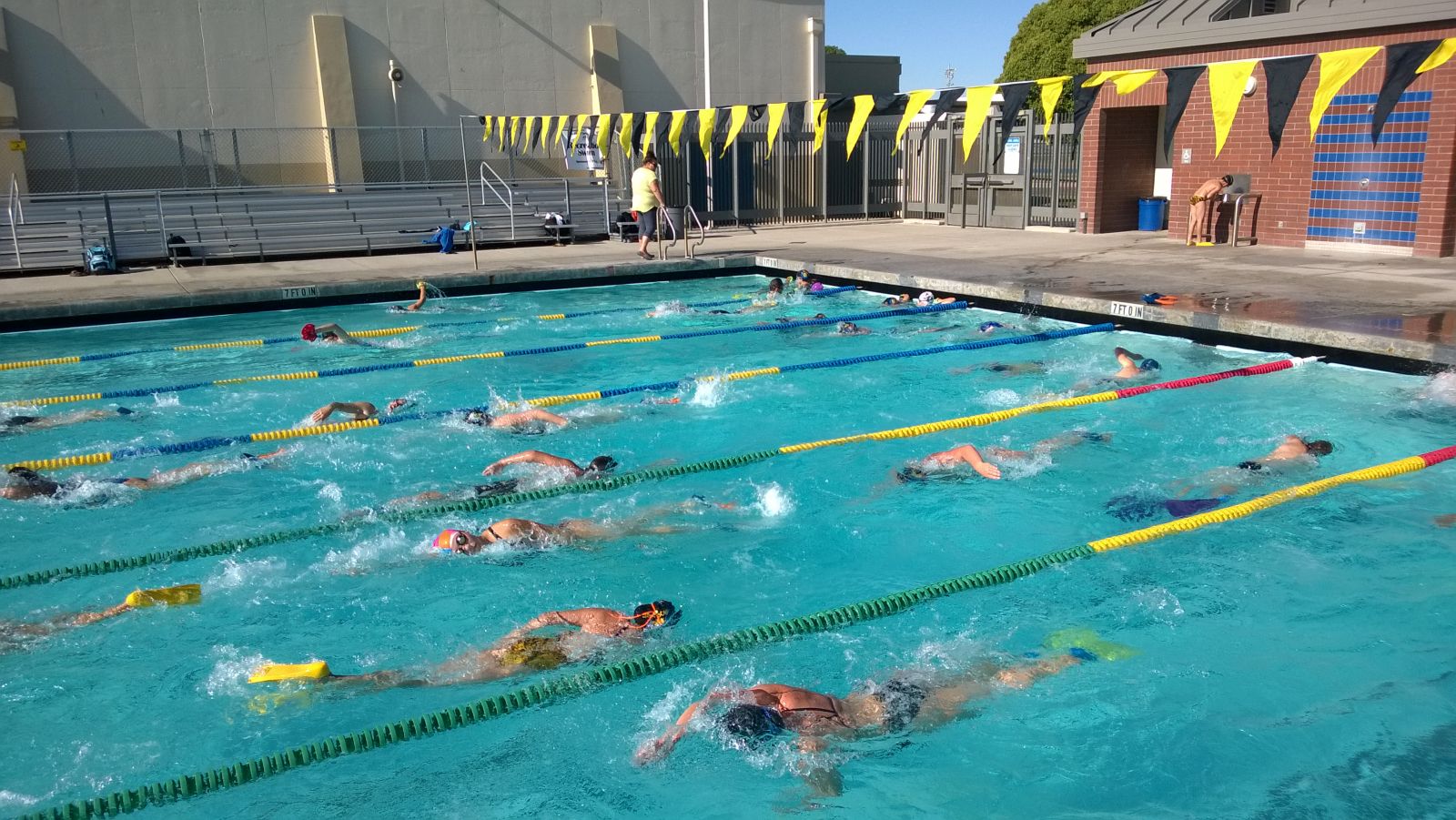 Turlock Sea Dogs - About the Team