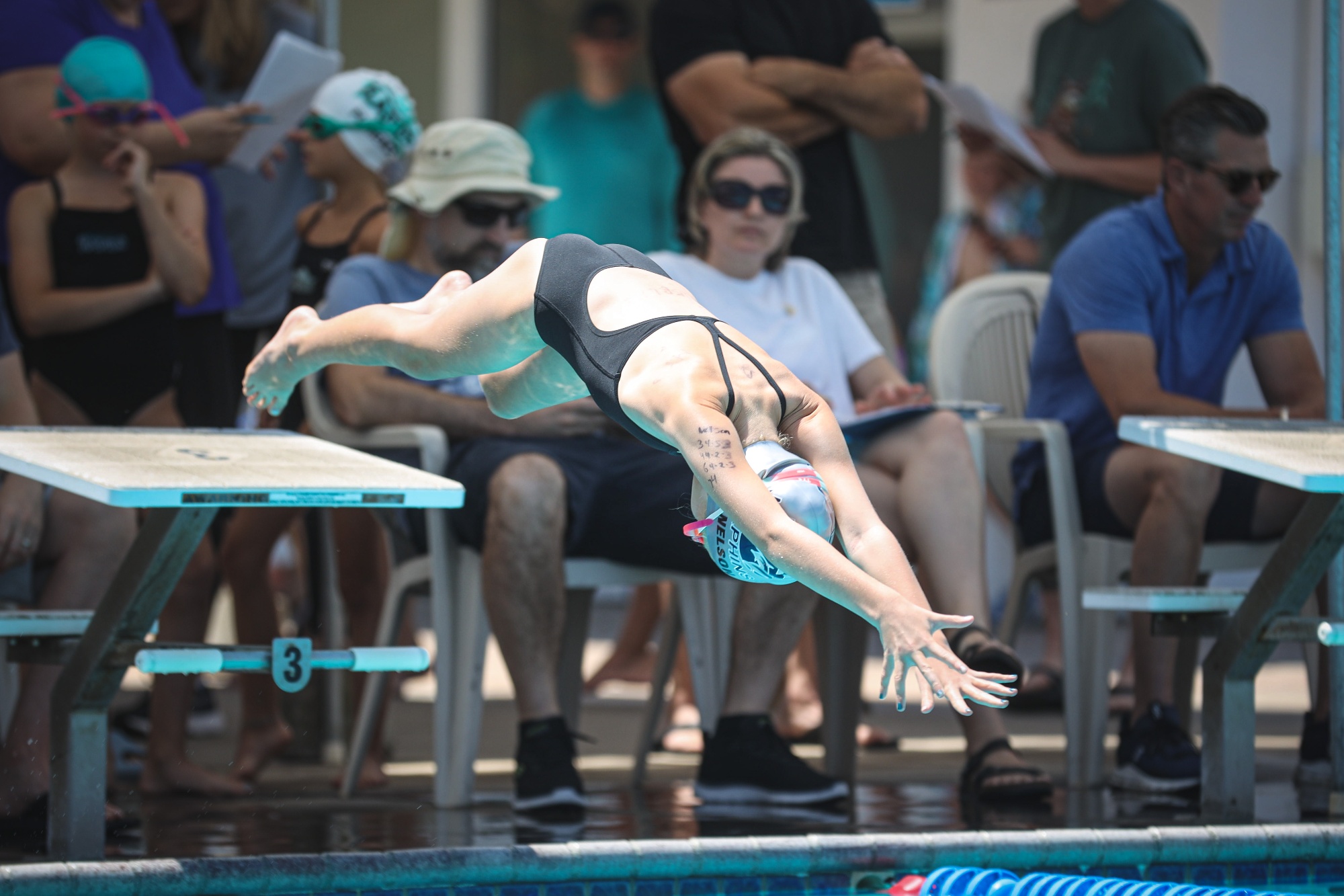 Del Norte Dolphins Swim Team Home