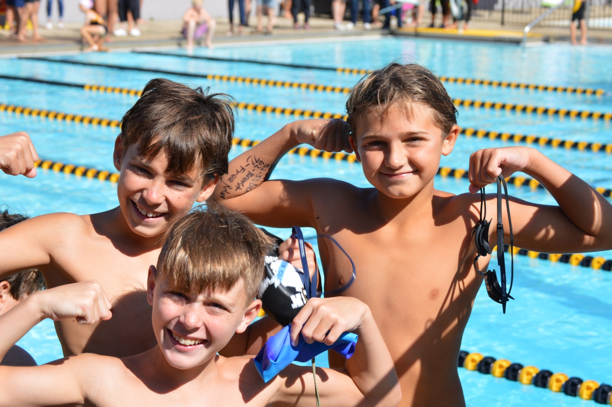 Saybrook Sharks Home