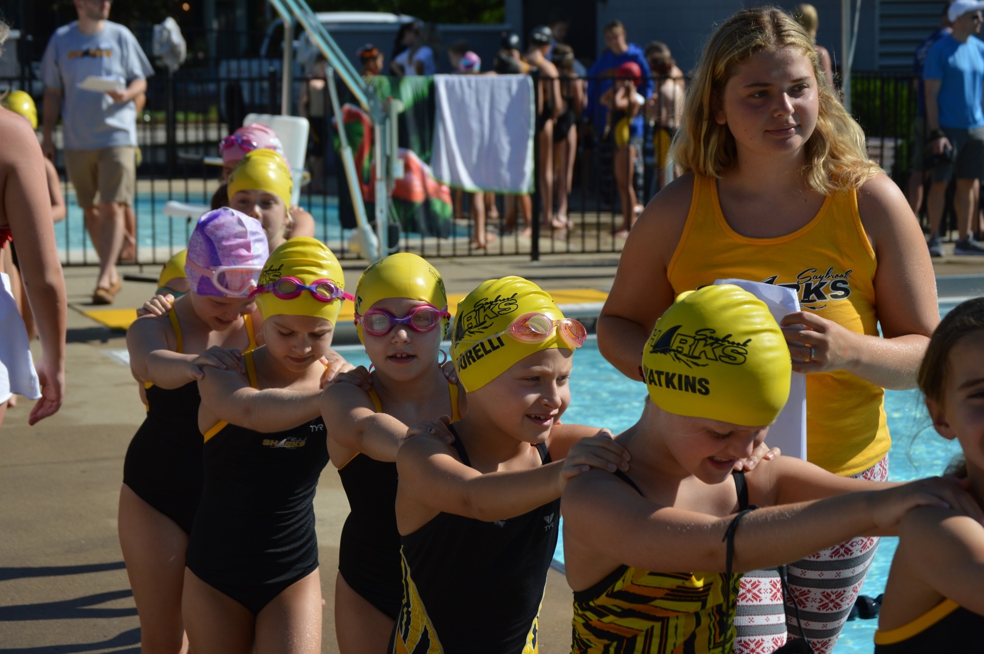 Saybrook Sharks Home