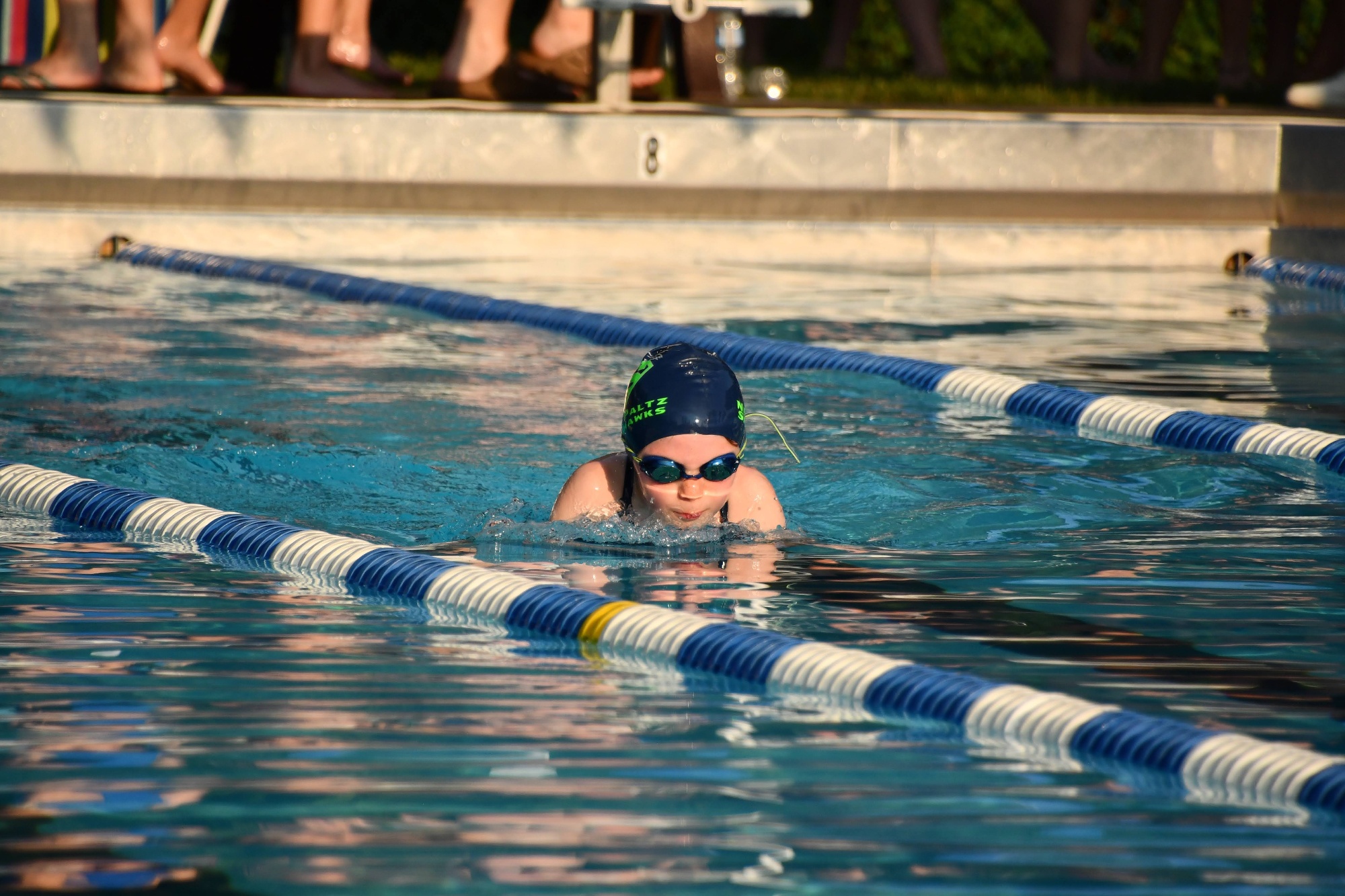 New Paltz Seahawks Home