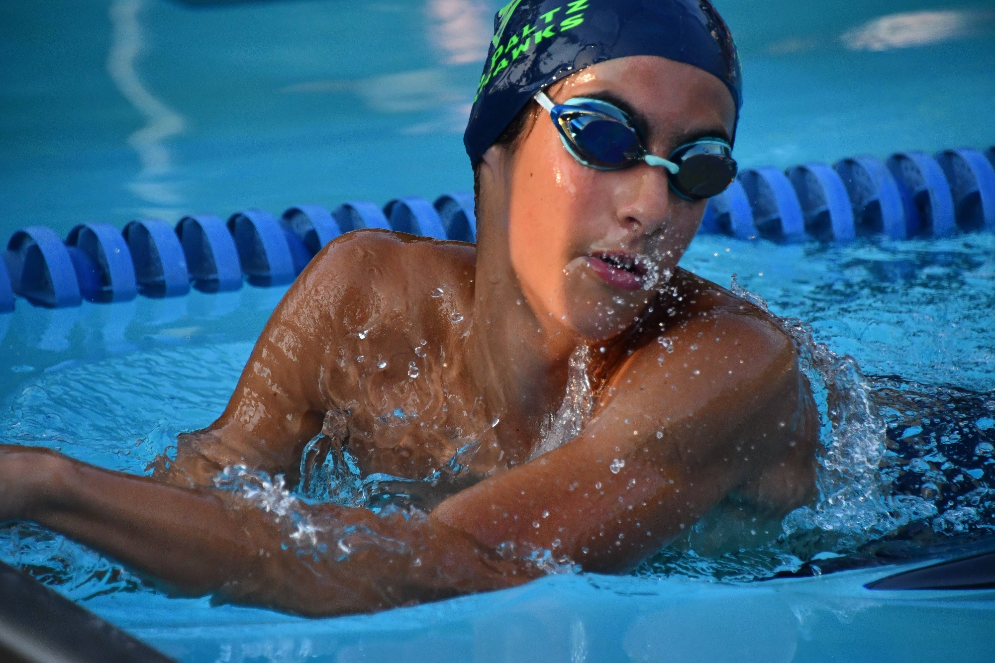 New Paltz Seahawks Home