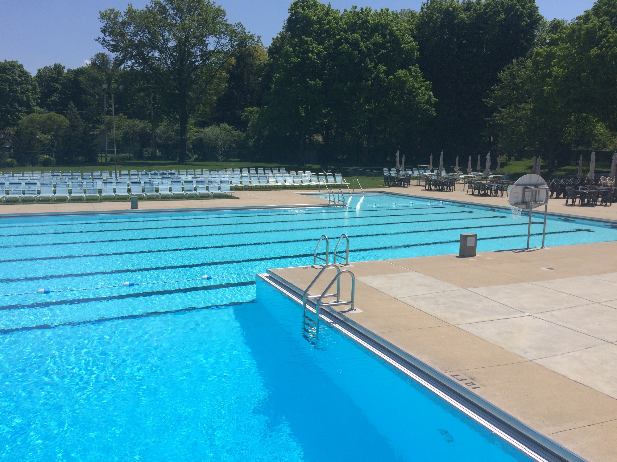 Oak Creek Swim Club Home