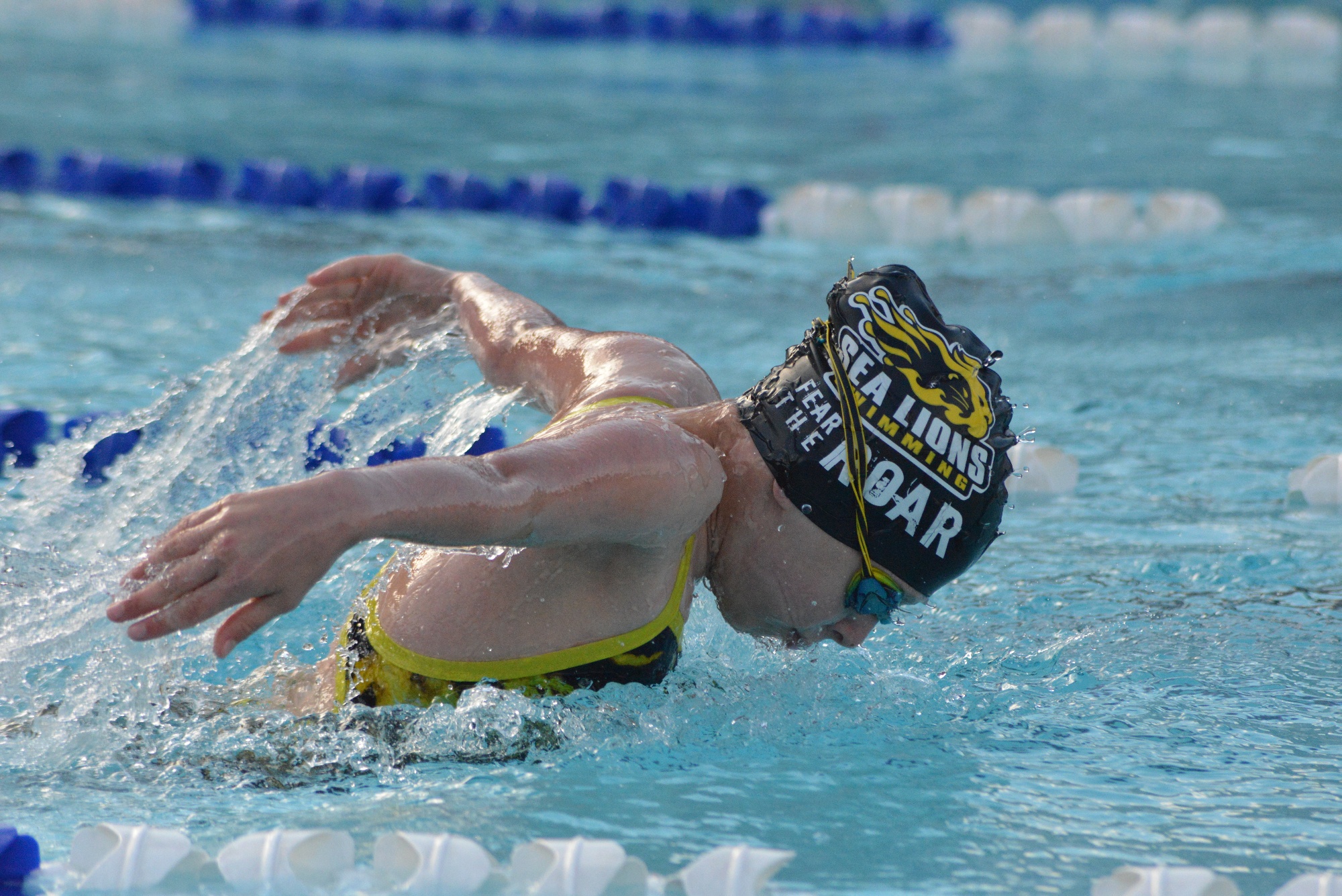 Kingsbrooke Sea Lions Home