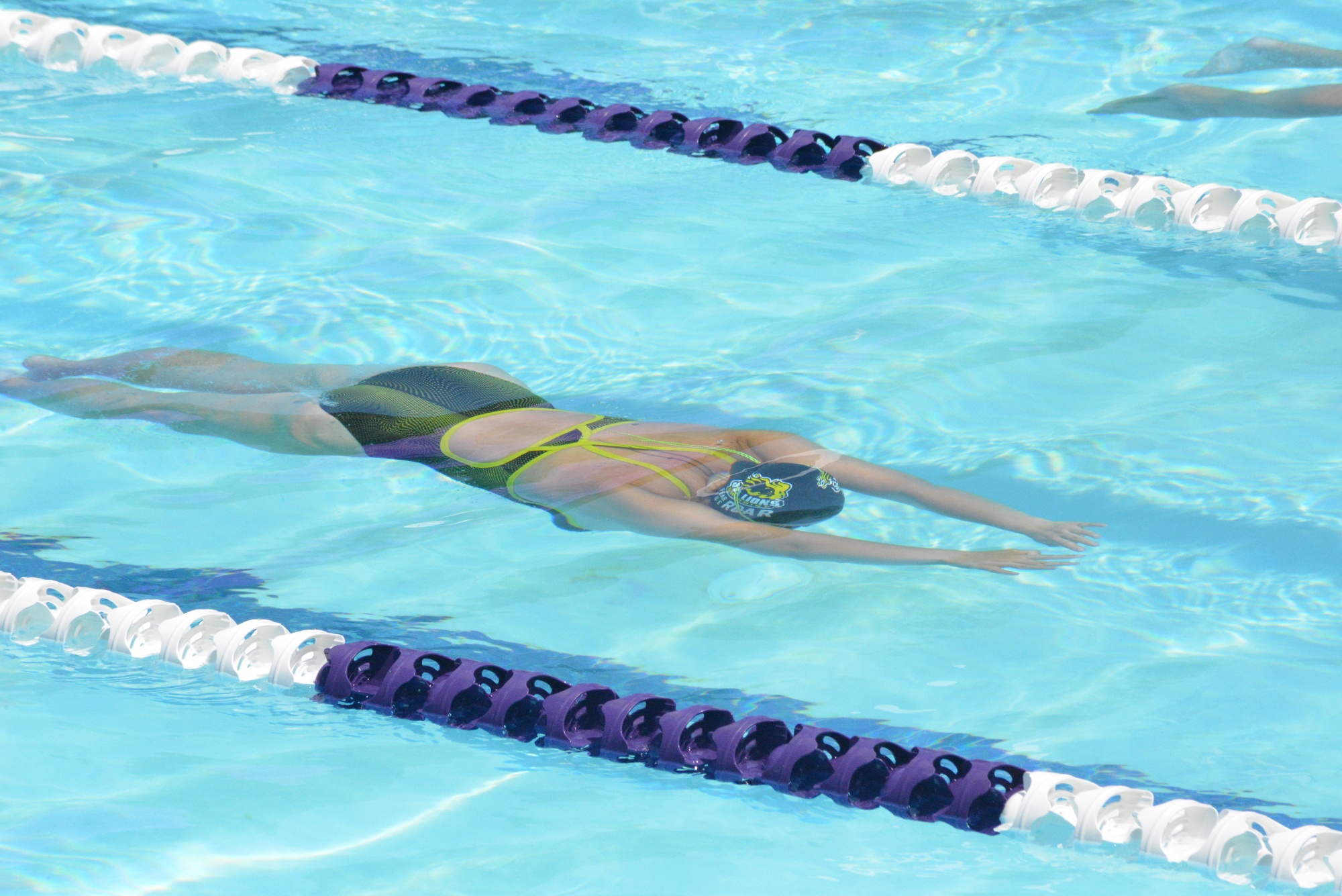 Kingsbrooke Sea Lions Home