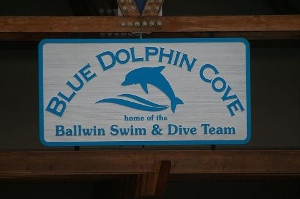 Ballwin Swim and Dive Team Home