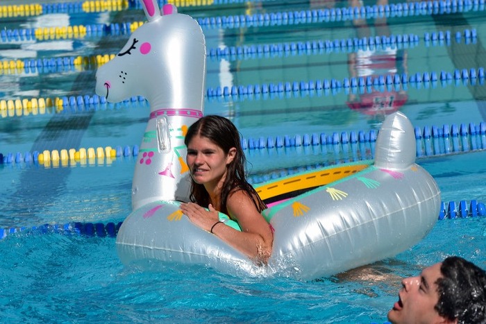 Folsom Sea Otters Home