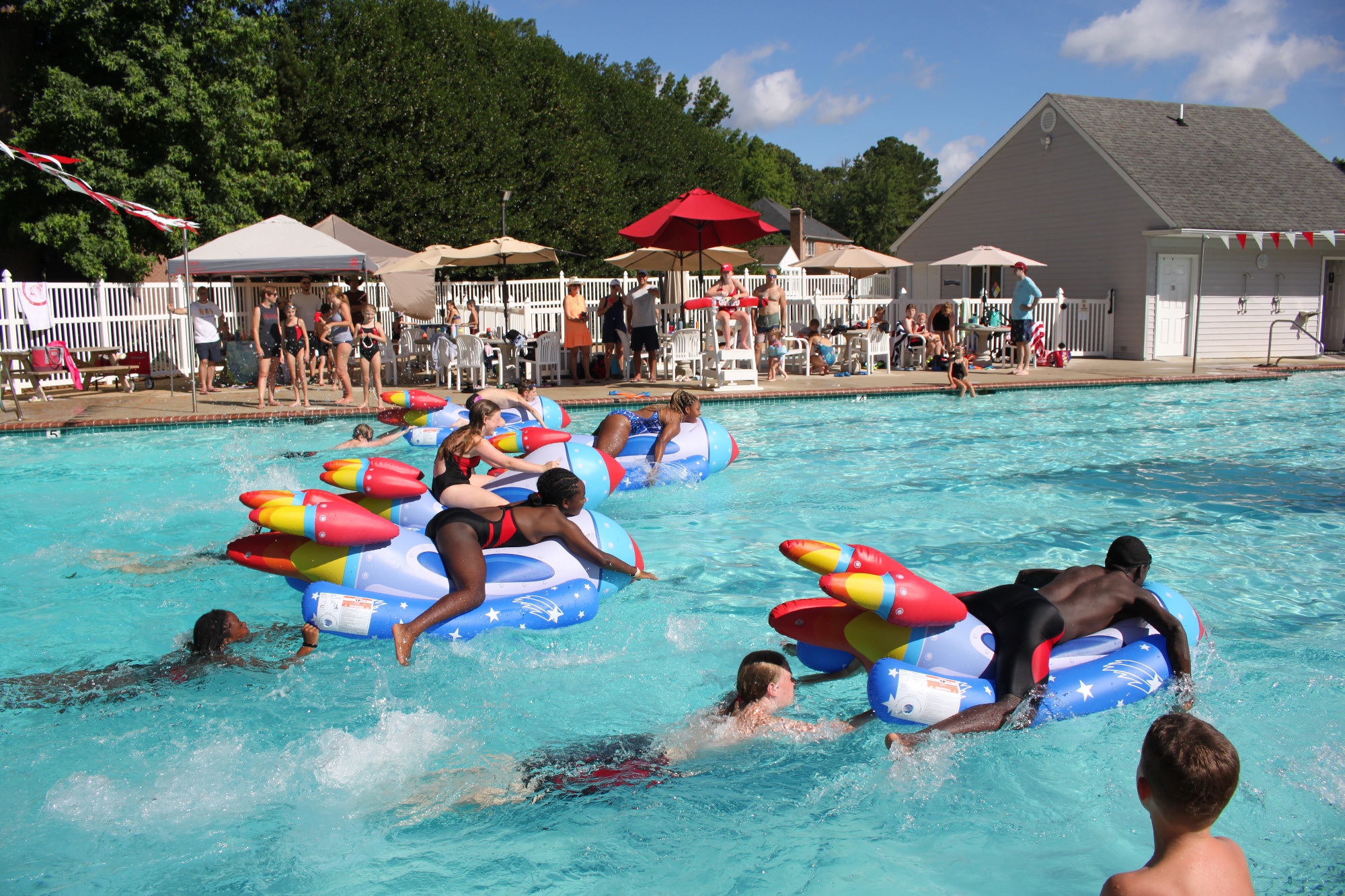 Cheshire Forest Flying Fish Home