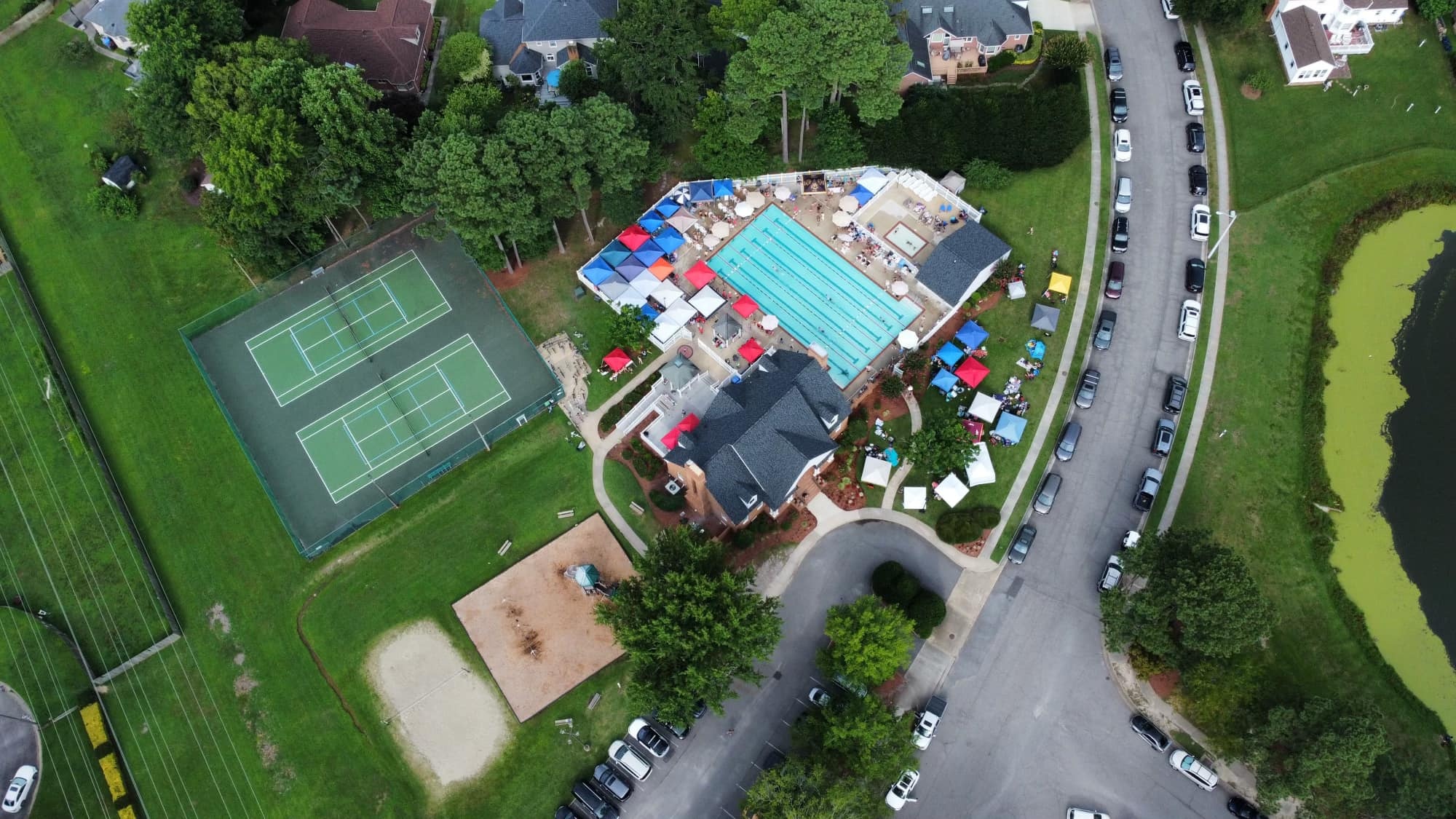 Cheshire Forest Flying Fish Home