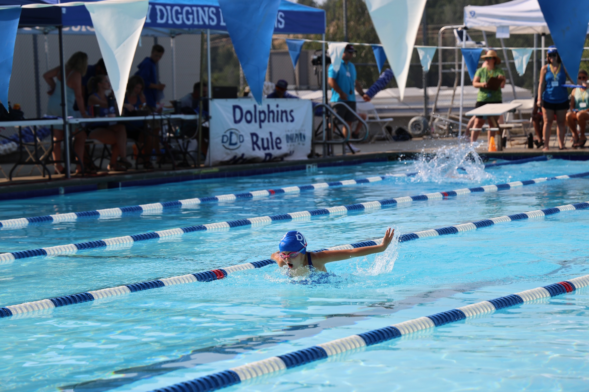 Dry Diggins Dolphins Swim Team Home