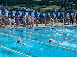 Lake Isle Swim & Dive Team Home