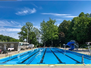 Westwood Dolphins Home