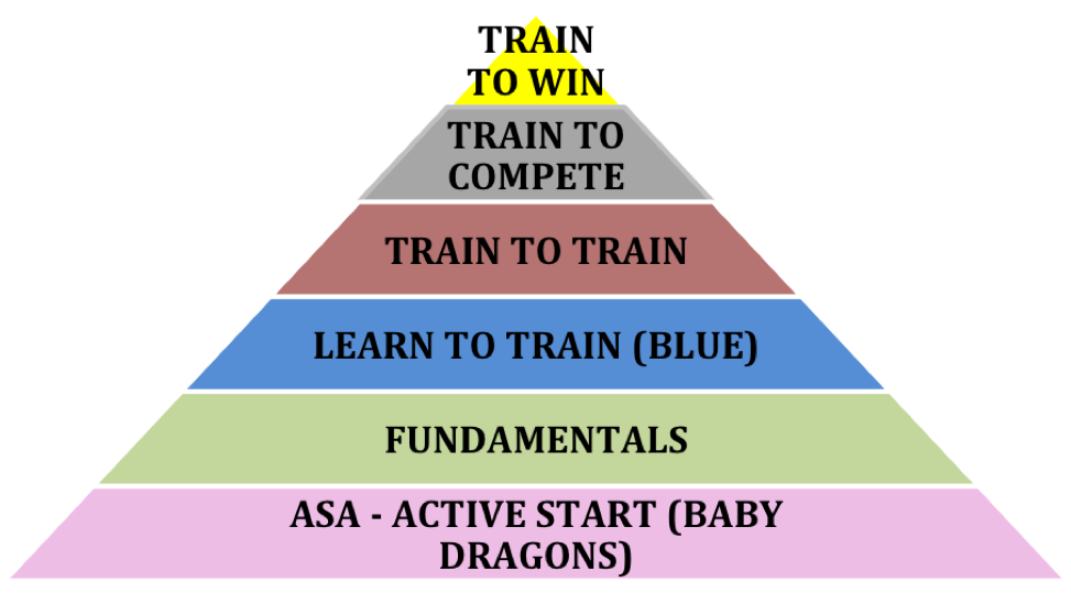 ISB Dragons Swimming Academy - Our Program