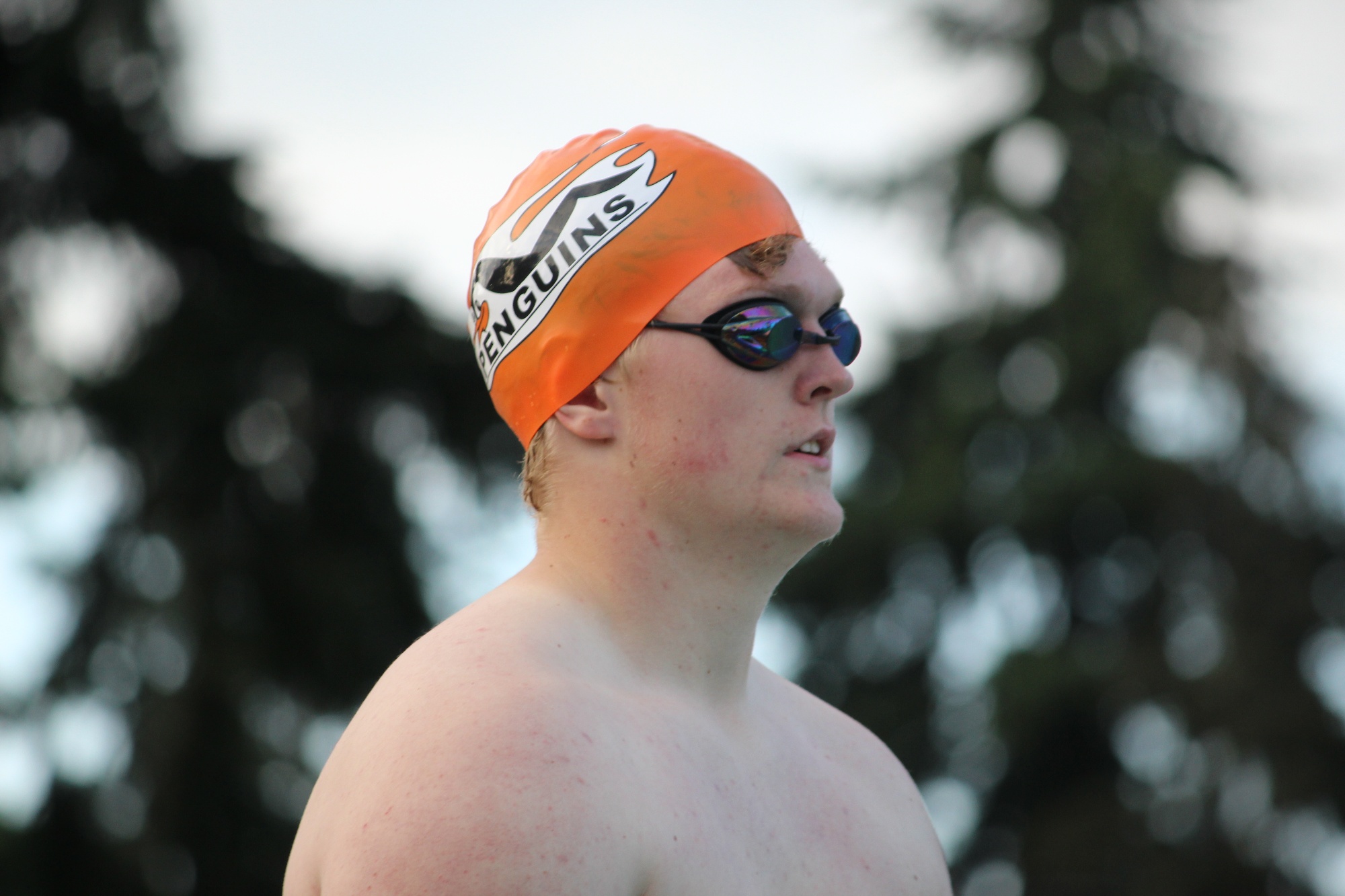 Twin Lakes Penguins Home