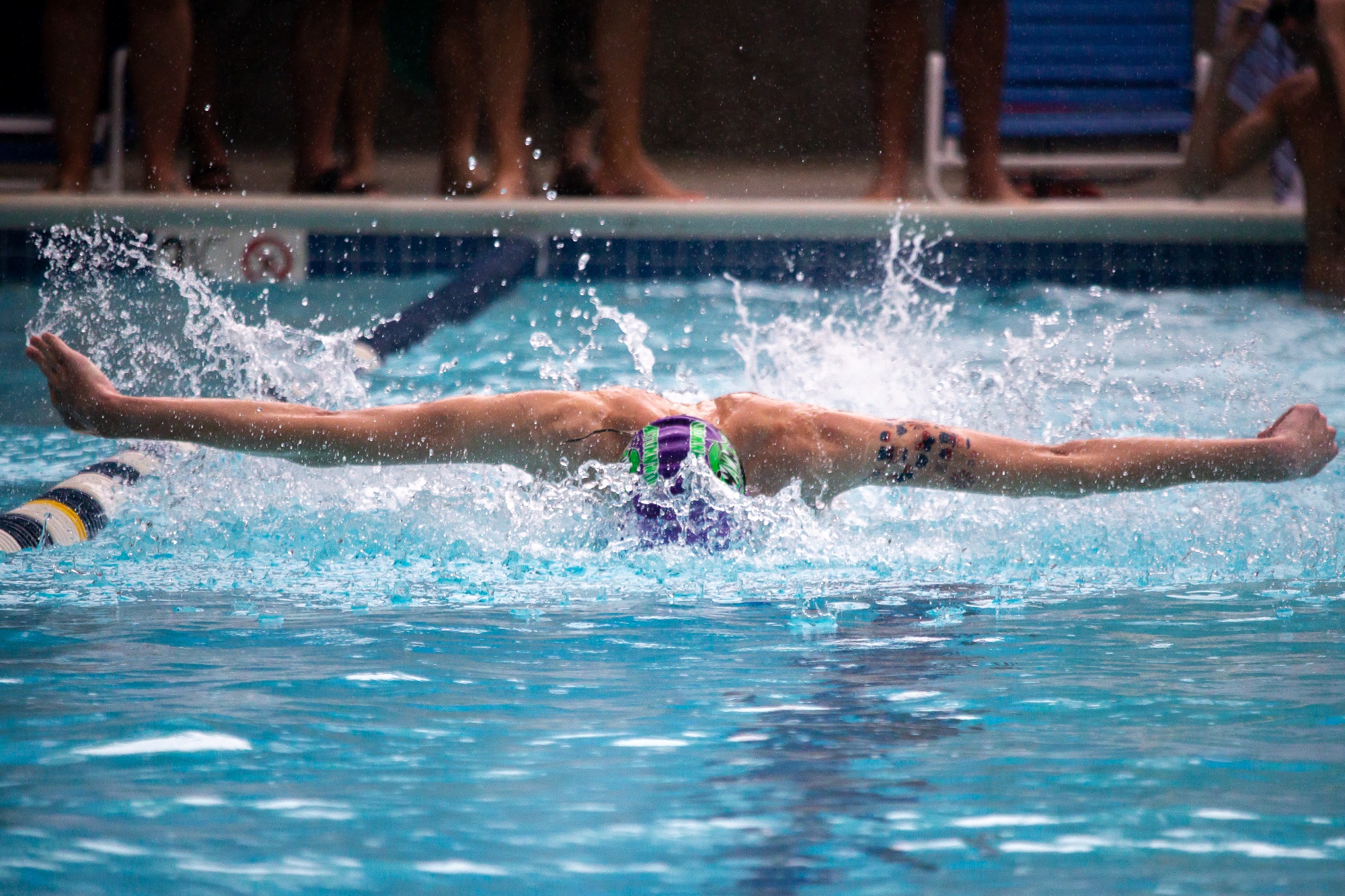 Autumnwood Piranhas Home